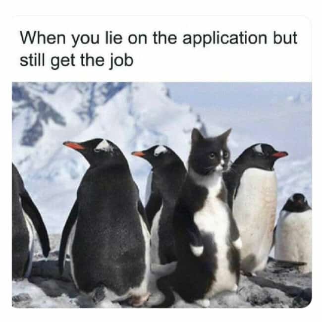 50 Funny And Random Posts The Whole Group Chat Will Love