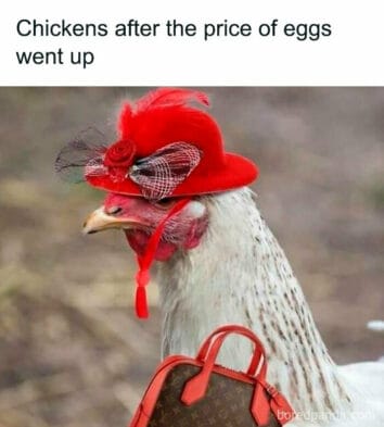 50 Funny And Random Posts The Whole Group Chat Will Love