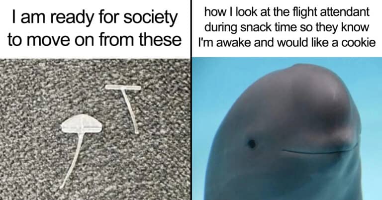 40 Funny Memes That Are Pure ‘Me IRL’ Energy