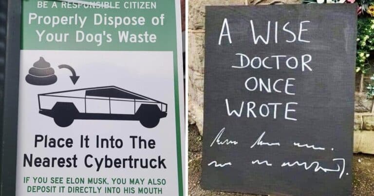 50 Funny Signs That Are Either Designed To Be Hilarious On Purpose Or ...