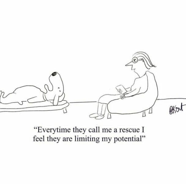 30 Delightfully Simple SIngle-Panel Comics From Hilarious Artist ...