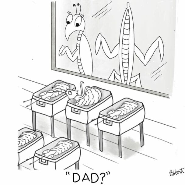 30 Delightfully Simple SIngle-Panel Comics From Hilarious Artist ...