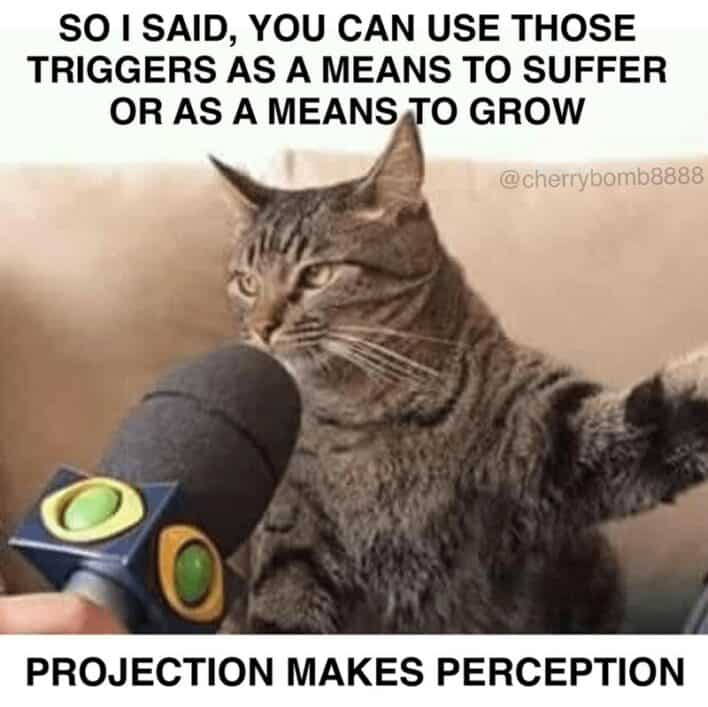 40 Funny Therapy Memes For Mental Health Seekers Who Still Love To ...