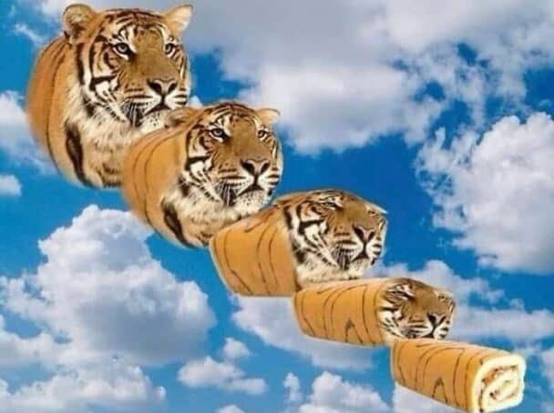 45 Funny And Weird Pictures Presented With Zero Context Whatsoever