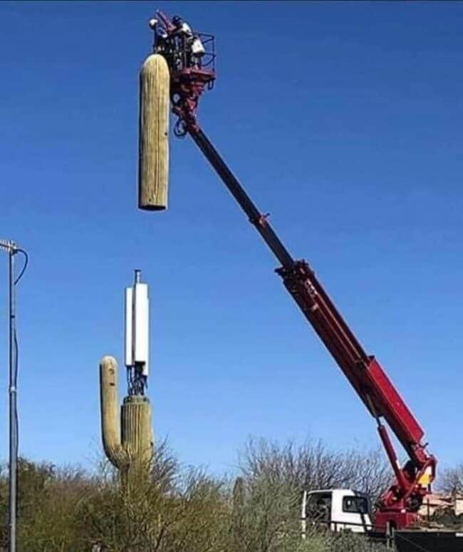 45 Funny And Weird Pictures Presented With Zero Context Whatsoever