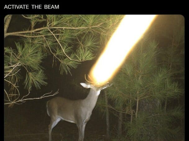 45 Funny Wild Animal Memes From The Untamed Corners Of The Internet