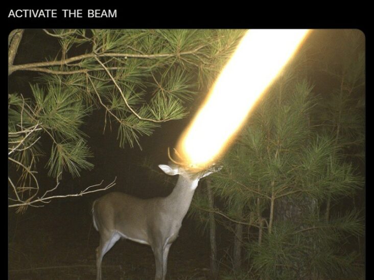 45 Funny Wild Animal Memes From The Untamed Corners Of The Internet