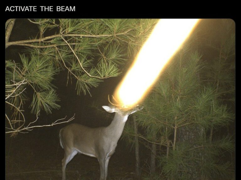 45 Funny Wild Animal Memes From The Untamed Corners Of The Internet