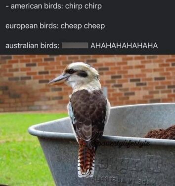 45 Funny Wild Animal Memes From The Untamed Corners Of The Internet