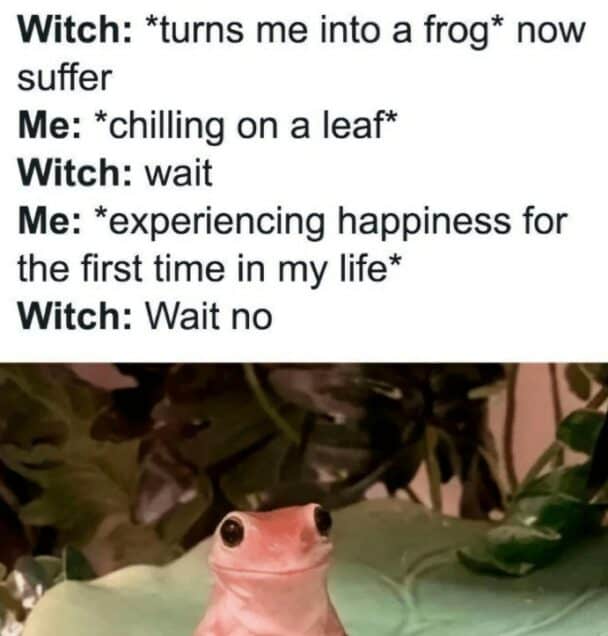 45 Funny Wild Animal Memes From The Untamed Corners Of The Internet