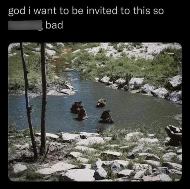 45 Funny Wild Animal Memes From The Untamed Corners Of The Internet