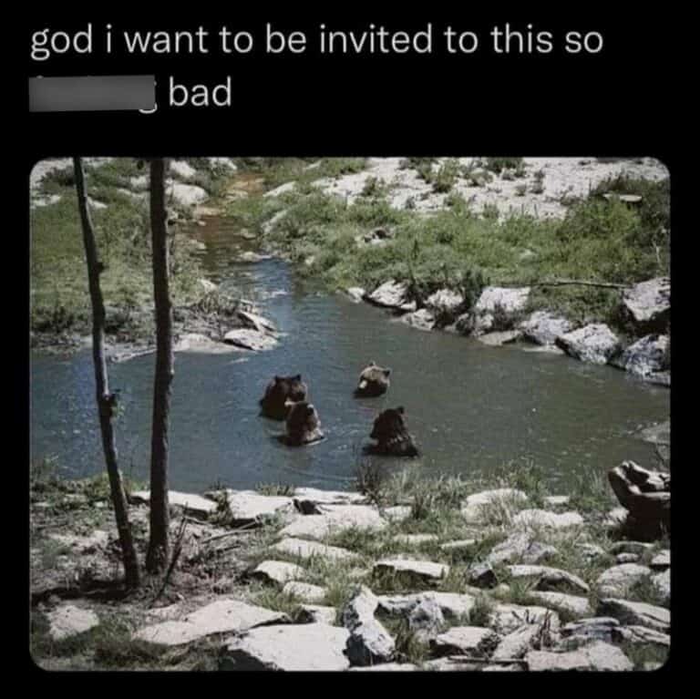 45 Funny Wild Animal Memes From The Untamed Corners Of The Internet