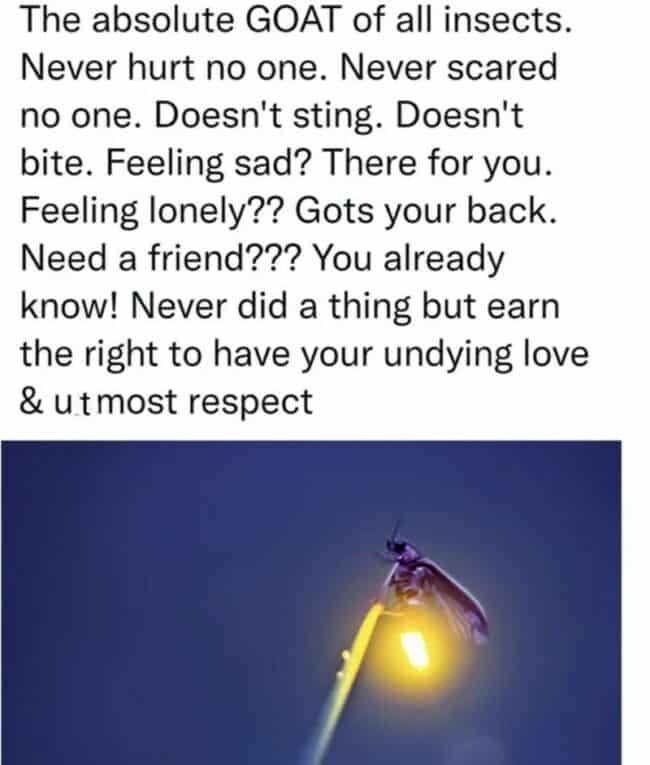 45 Funny Wild Animal Memes From The Untamed Corners Of The Internet