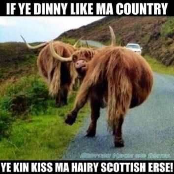 45 Funny Wild Animal Memes From The Untamed Corners Of The Internet