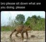 45 Funny Wild Animal Memes From The Untamed Corners Of The Internet
