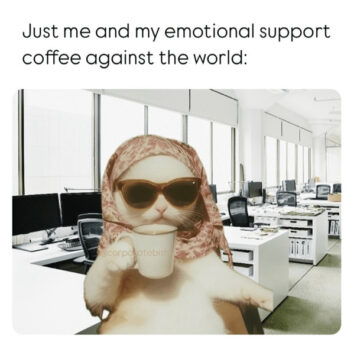 40 Funny Work Memes To Drop In The Office Group Chat