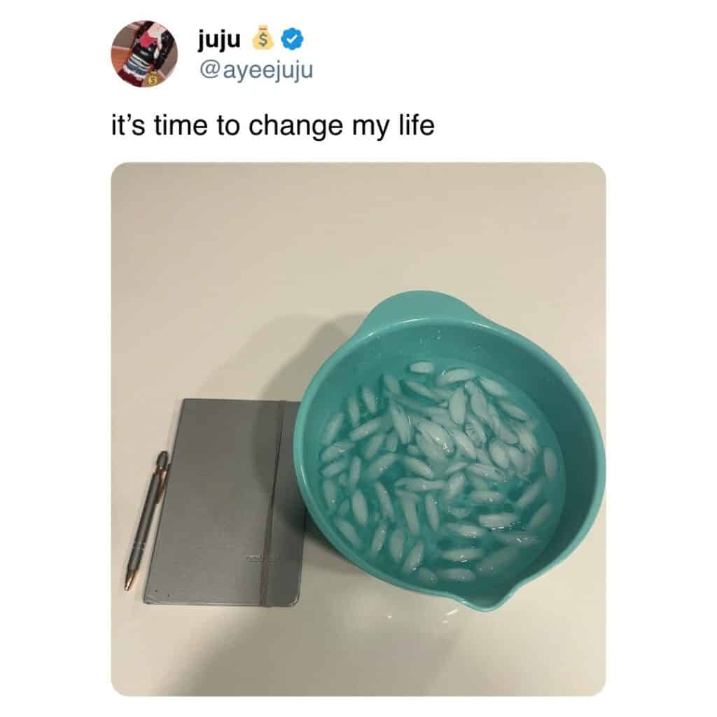 27 Funniest Tweets Roasting This Influencer's Ridiculous Viral 4 AM ...