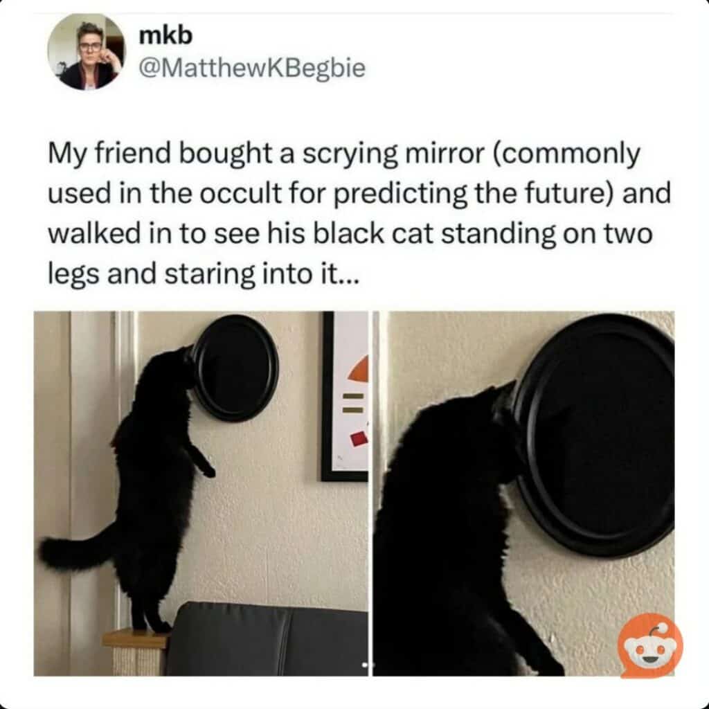 40 Of The Weirdest And Most Disturbing Pictures Posted To Reddit This ...