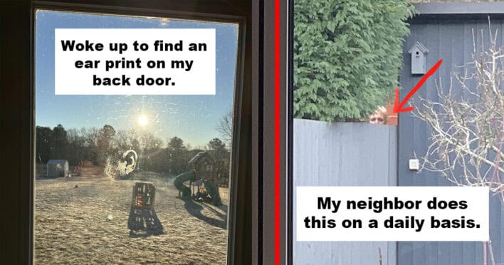 40 Of The Weirdest And Most Disturbing Pictures Posted To Reddit This ...