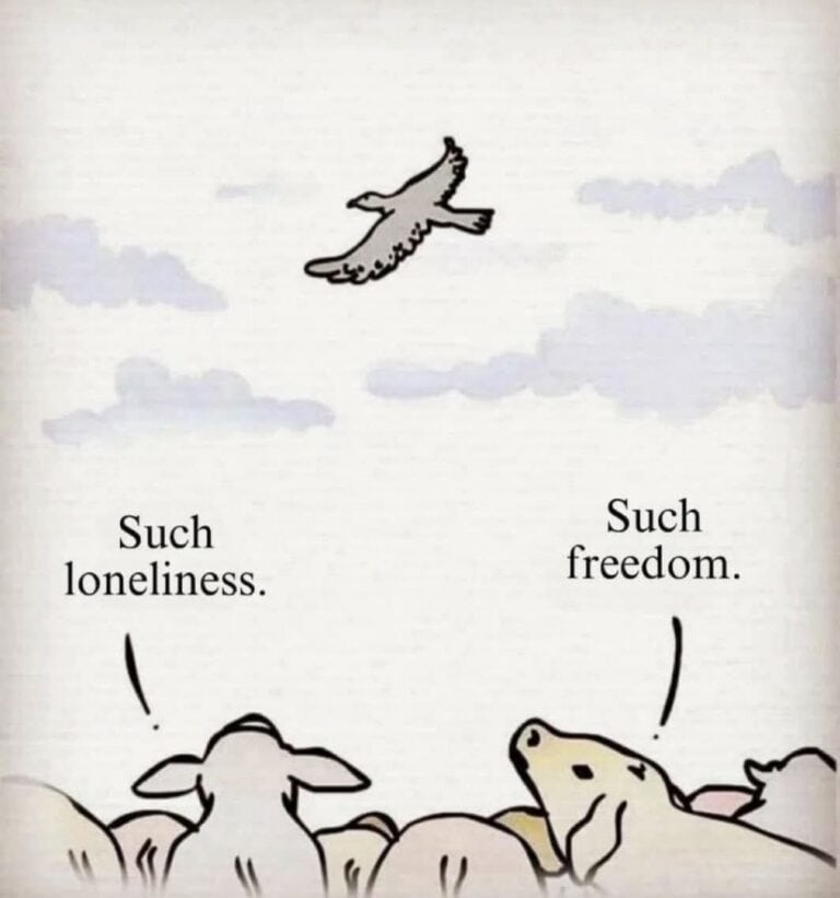 "Self Care Sunday" — 35 Wholesome Memes Promoting Positive Thinking ...