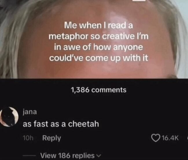 42 Funniest Chaotic Comments From The Internet's Most Unhinged Minds