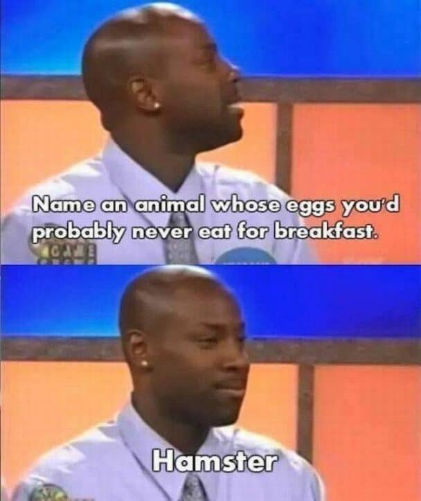 35 Funniest Gameshow Moments That Left The Host Speechless