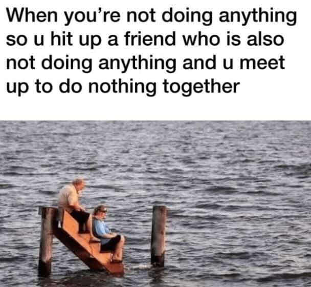 45 Funniest Introvert Memes For People Who Rehearse Phone Calls Like It ...
