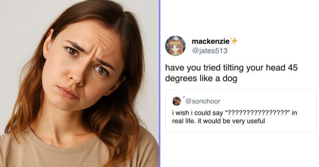 42 Funniest Quote Tweets Of The Week Remind Us Why The Replies Always ...