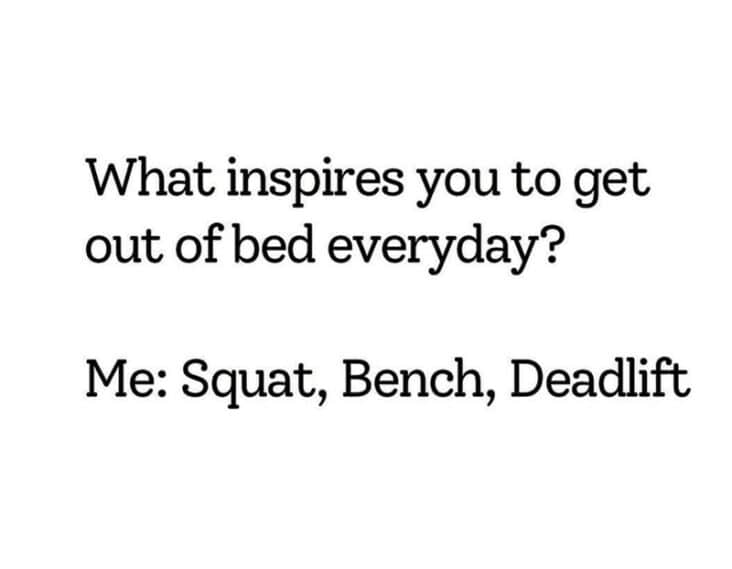 35 Funniest Workout Memes Obsessed With Maximum Gains This Week (April ...