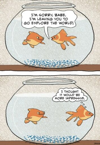 50 Delightful Animal Comics From The Hilarious Captain Scratchy