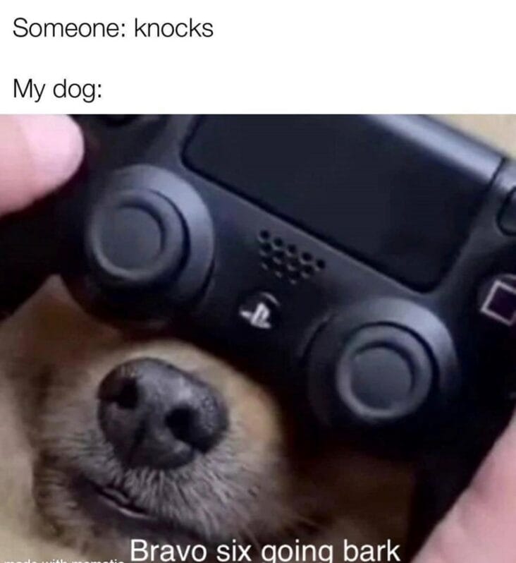 30+ Hilarious Memes For Gamers With Pets Who Love The Company While Gaming