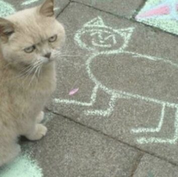40 Pictures Of Animals Being Unintentionally Funnier Than Most People