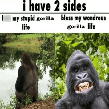 50 Funny Gorilla And Ape Memes To Go Bananas Over