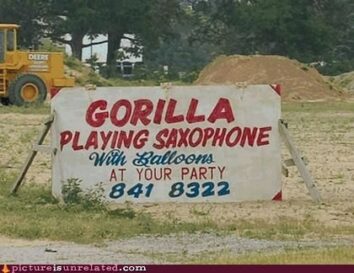 50 Funny Gorilla And Ape Memes To Go Bananas Over