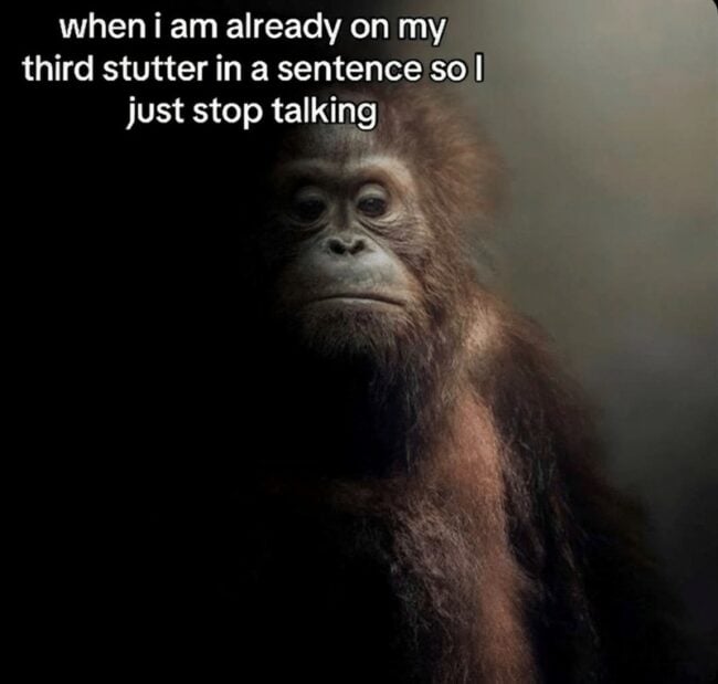 50 Funny Gorilla And Ape Memes To Go Bananas Over