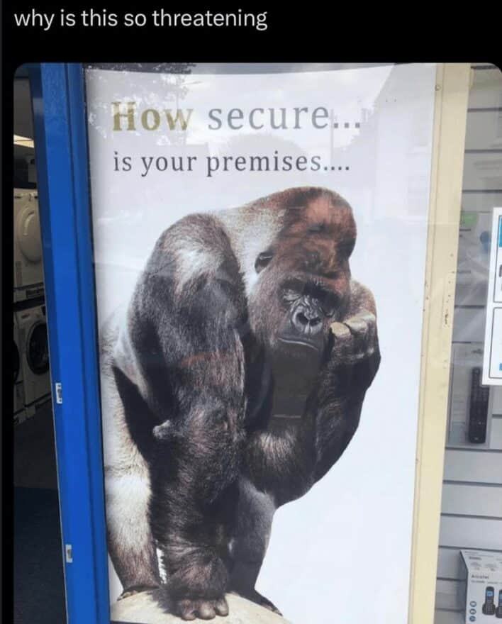 50 Funny Gorilla And Ape Memes To Go Bananas Over