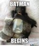 30 Funny Bat Memes And Photos Celebrating The Most Adorably Terrifying ...