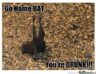 30 Funny Bat Memes And Photos Celebrating The Most Adorably Terrifying ...