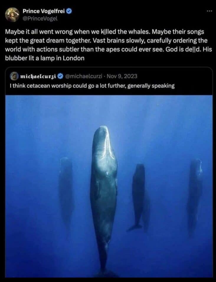 45 Hilarious Brand New Sentences That Sprung Into Existence From The ...