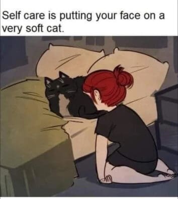 40 Funny Cat Memes That’ll Have You Purring With Laughter (April 22, 2025)
