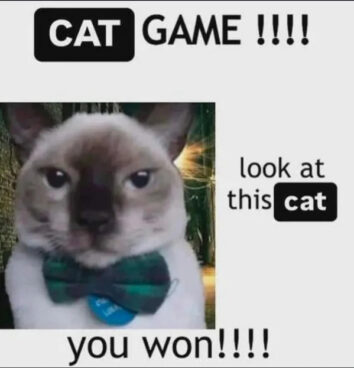 40 Funny Cat Memes That’ll Have You Purring With Laughter (April 22, 2025)