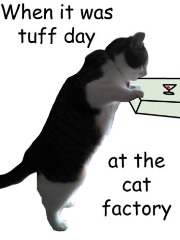 40 Funny Cat Memes That’ll Have You Purring With Laughter (April 22, 2025)
