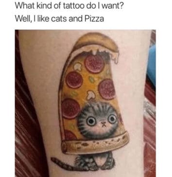 40 Funny Cat Memes That’ll Have You Purring With Laughter (April 22, 2025)