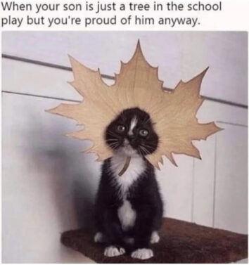 40 Funny Cat Memes That’ll Have You Purring With Laughter (April 22, 2025)
