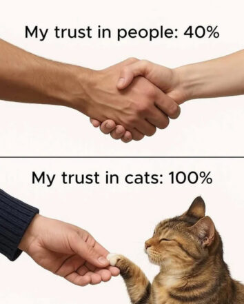 40 Funny Cat Memes That’ll Have You Purring With Laughter (April 22, 2025)