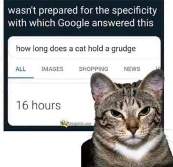 40 Funny Cat Memes That’ll Have You Purring With Laughter (April 22, 2025)