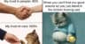 40 Funny Cat Memes That’ll Have You Purring With Laughter (April 22, 2025)