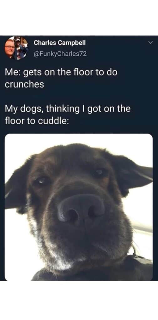 45 Funny Clean Memes That Are Safe For Work But Still Hilarious (April 22, 2025)