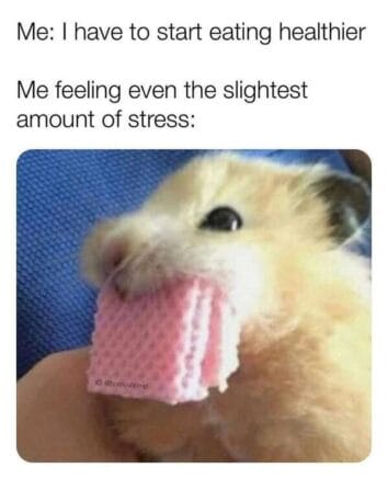45 Funny Clean Memes That Are Safe For Work But Still Hilarious (April ...