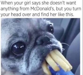45 Funny Clean Memes That Are Safe For Work But Still Hilarious (April ...